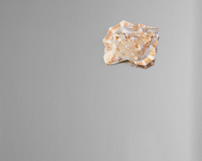 Mirror Finishes | Architectural Metal Polishing