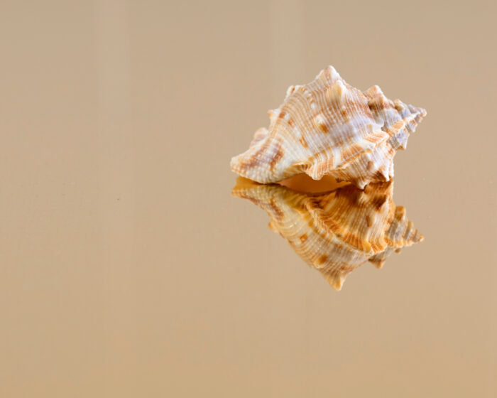 Mirror Finishes | Architectural Metal Polishing