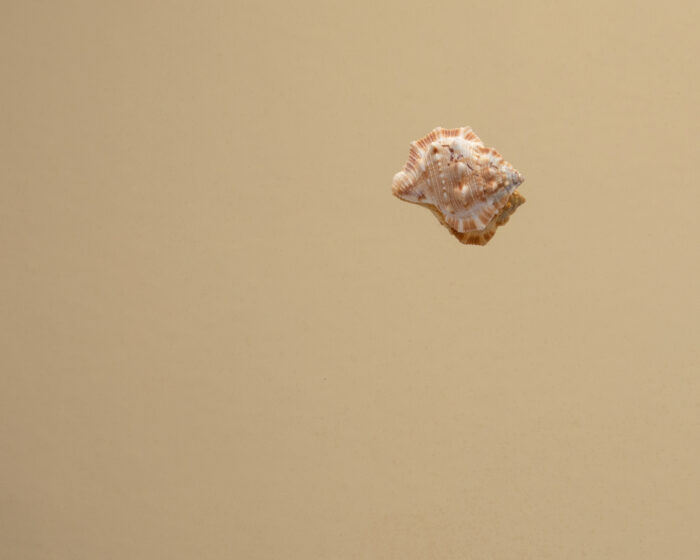 Mirror Finishes | Architectural Metal Polishing