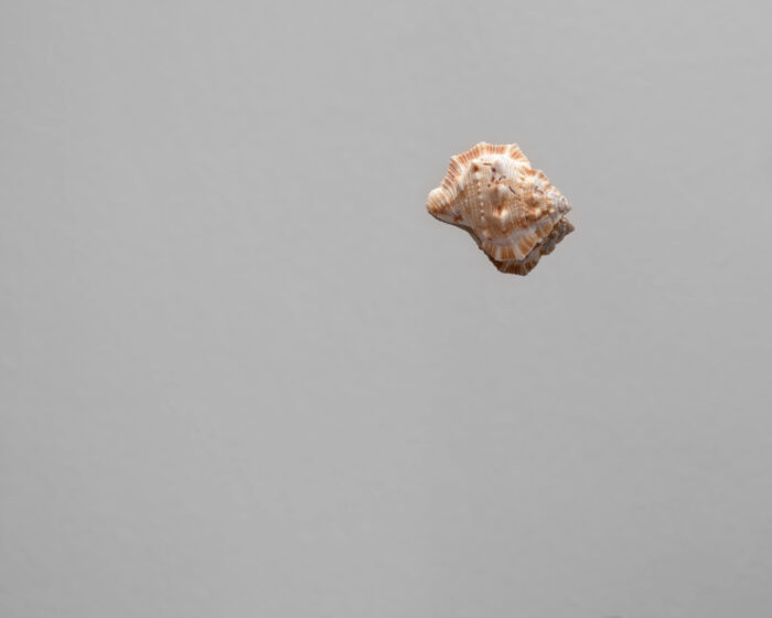 Mirror Finishes | Architectural Metal Polishing