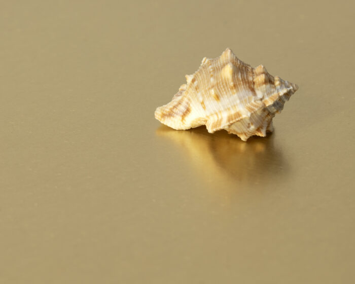 Satin Finishes | Architectural Metal Polishing