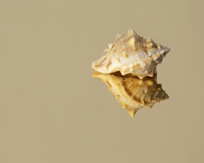 Mirror Finishes | Architectural Metal Polishing